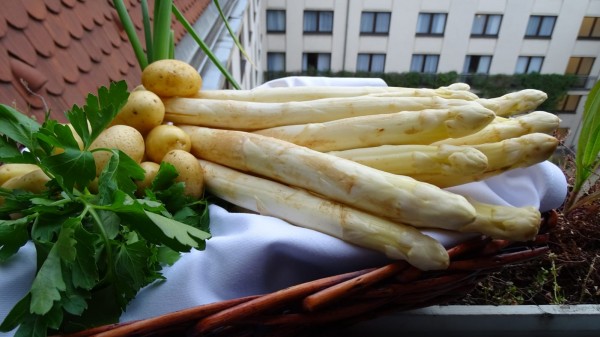 Berlin Capital Club - Der erste private Businessclub Berlins